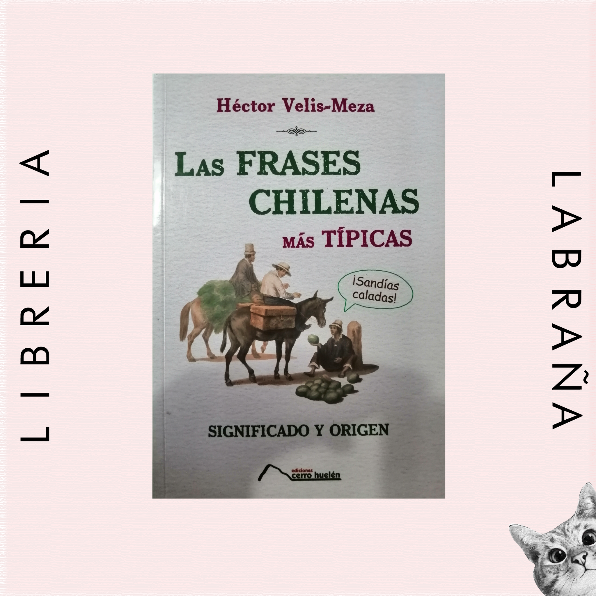 Las frases chilenas mas tipicas – Libroslabraña